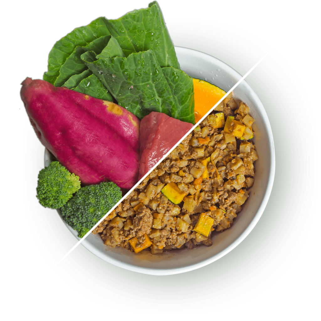 Tabela de Comida Natural para Cachorro: Nutrição e Saúde Canina